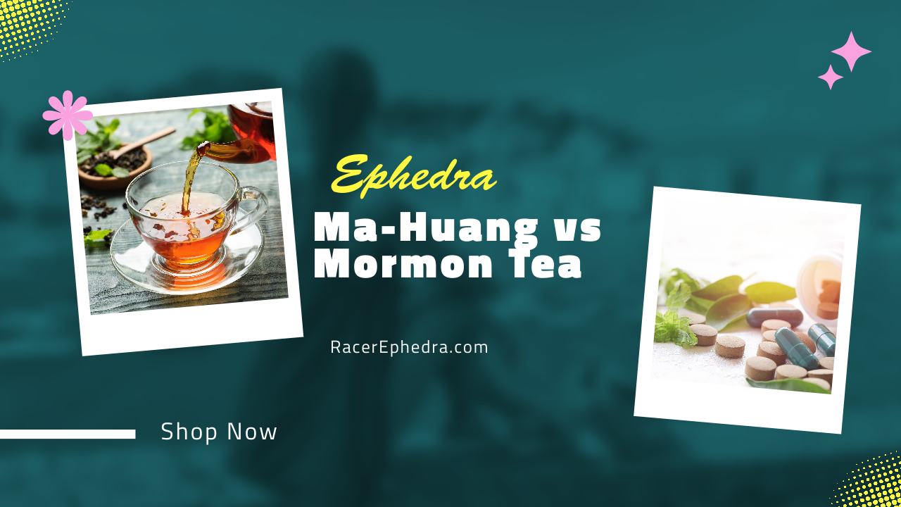Ma Huang Herb vs Mormon Tea | Racer Ephedra
