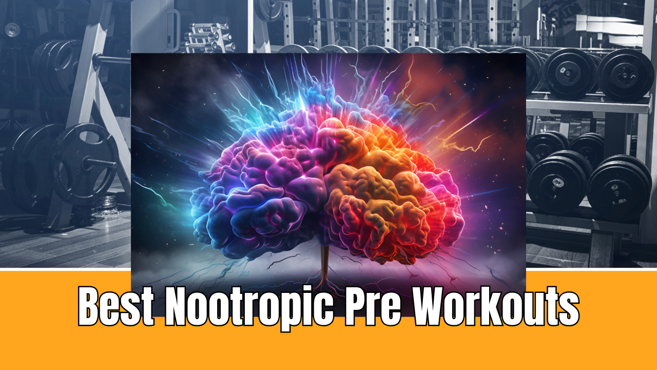 Best Nootropic Pre Workout for Enhanced Focus and Performance | Racer ...